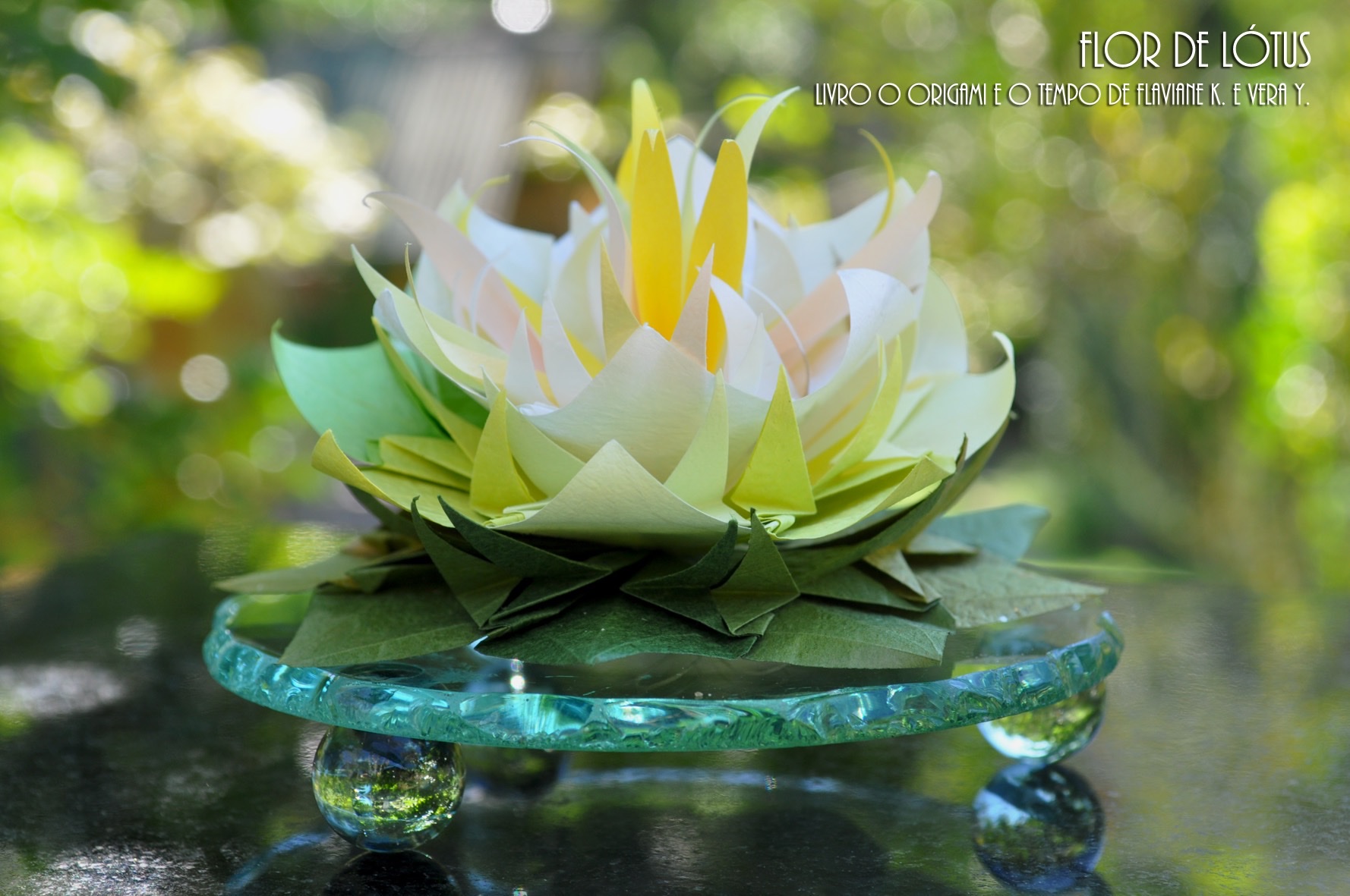 Simbologia Flor de Lótus – Flaviane Koti